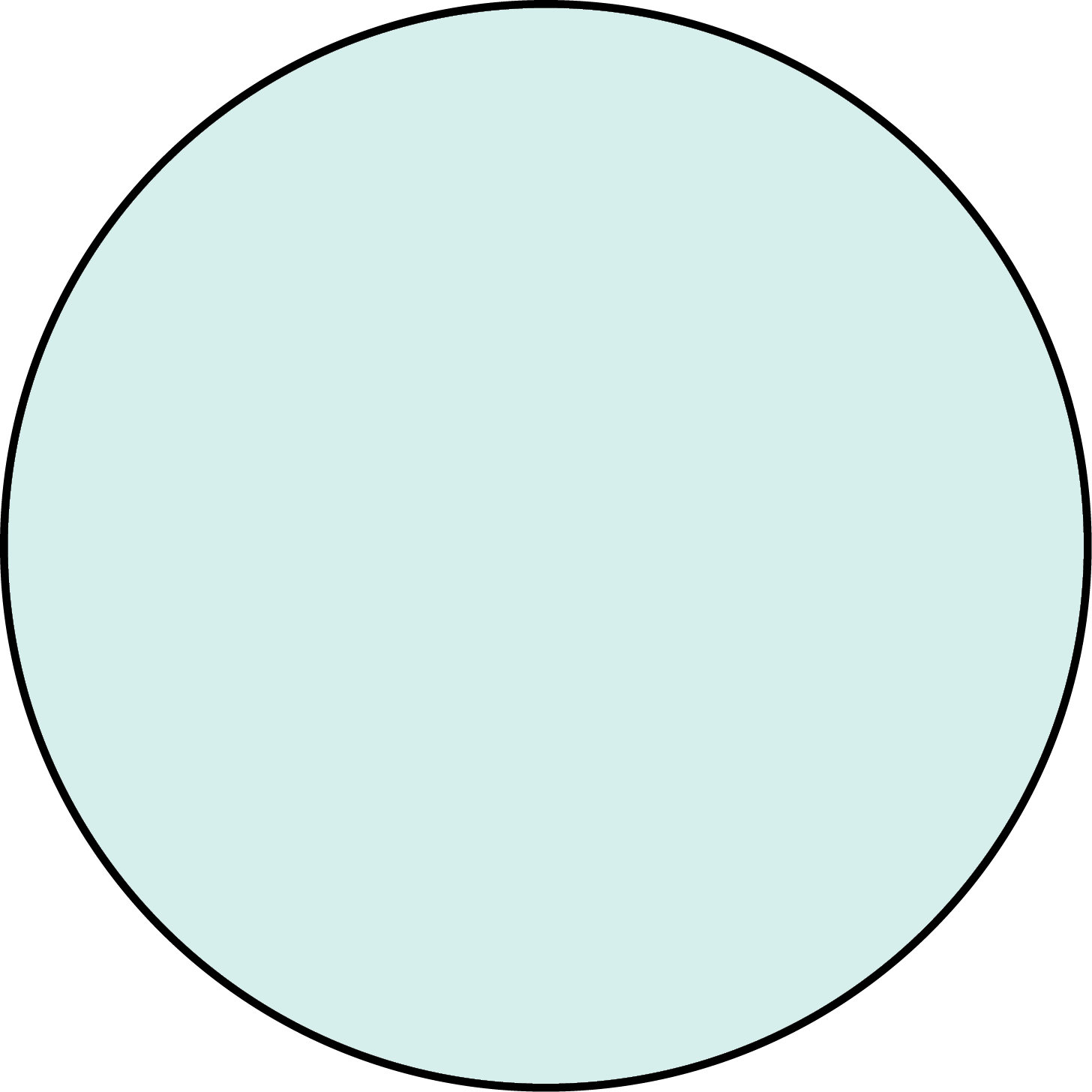 4_6_Octopus_Structure